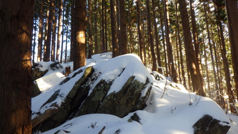 米ヶ森 313.6m 2024年12月30日: あかりんの岩手低山奇行